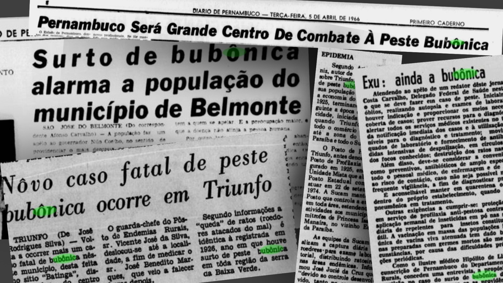 A peste Bubônica, uma doença que sempre volta | Seropédica Online ...