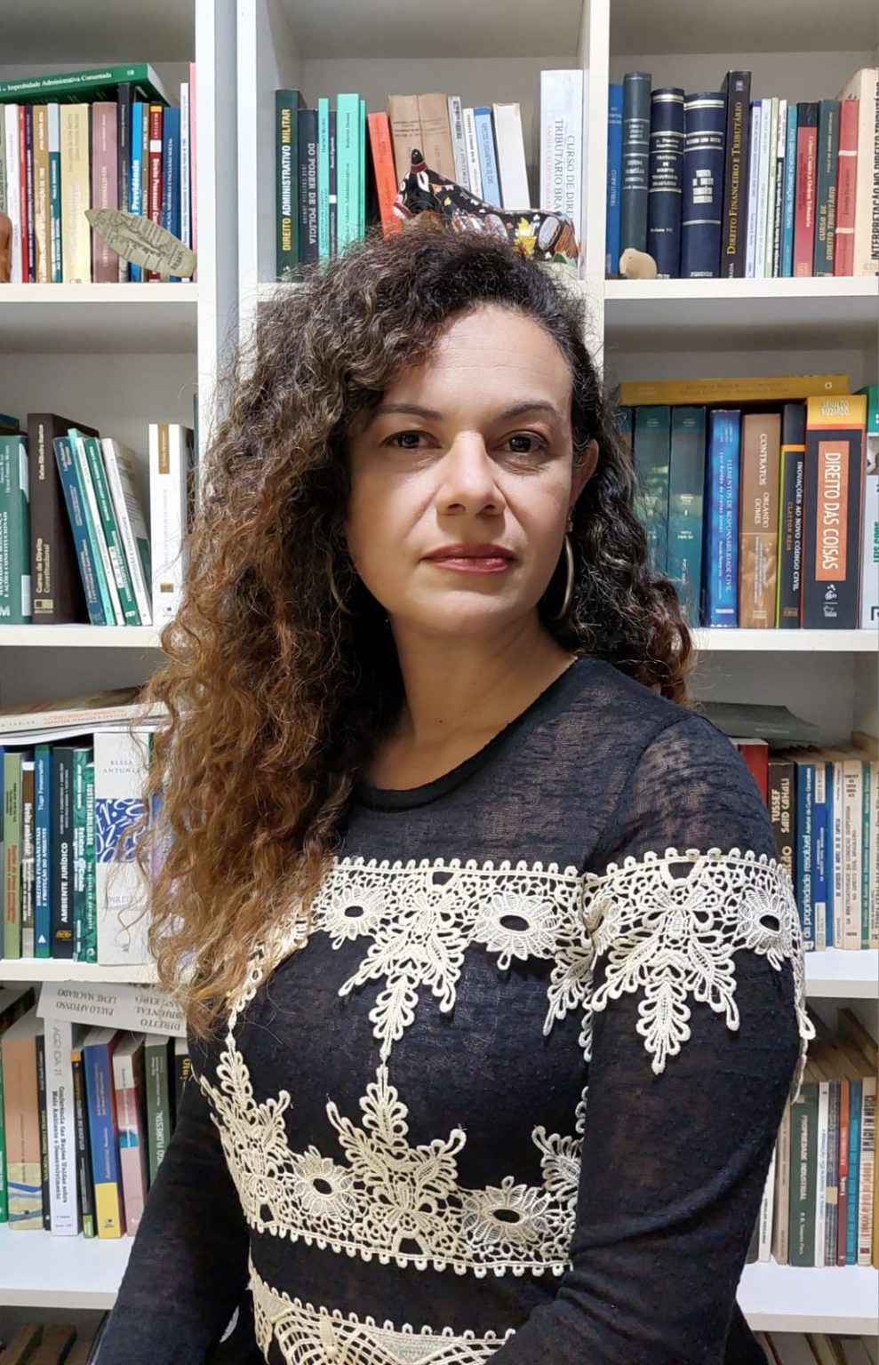 Acompanhe a mobilização do movimento social pela vaga no STF e conheça ...